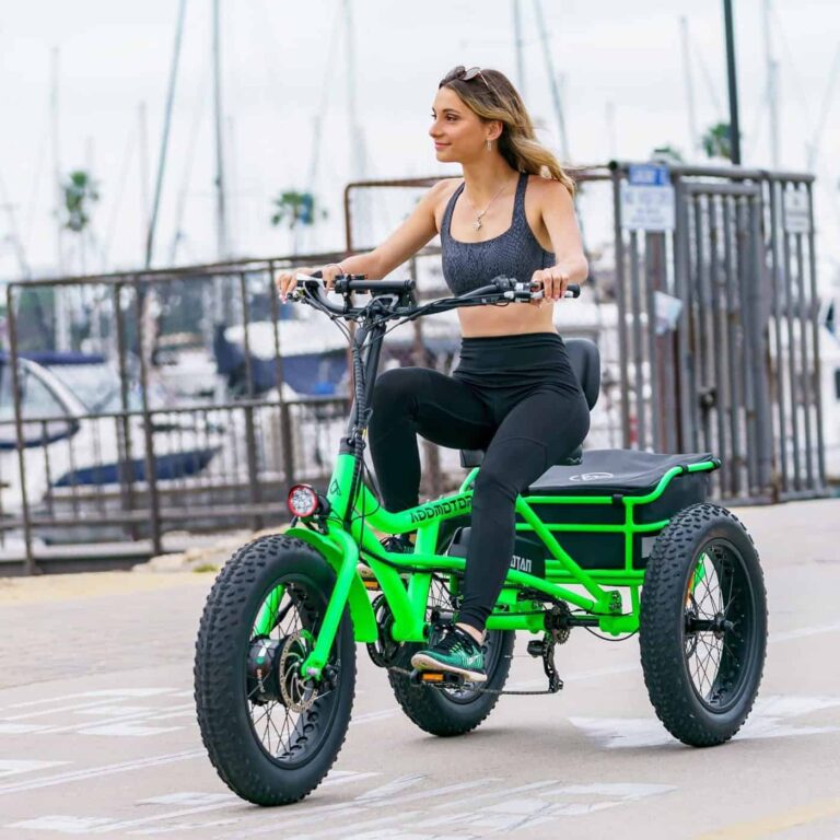 The Ultimate Guide to Fat Tire Electric Trikes - The Washington Note