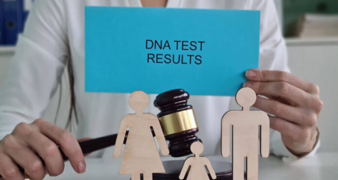 The Role of Paternity Testing In Child Custody And Support Cases - The ...
