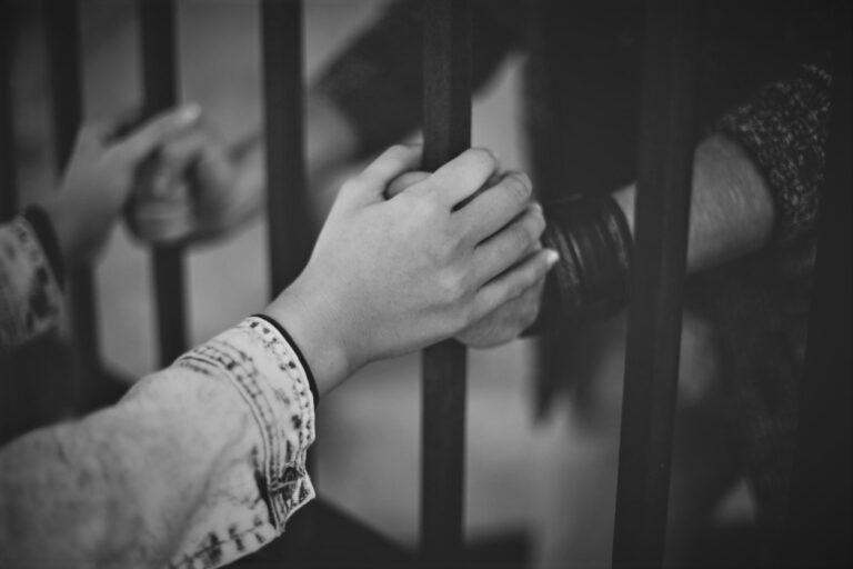 Behind Bars: The Purpose and Impact of Correctional Facilities - The ...